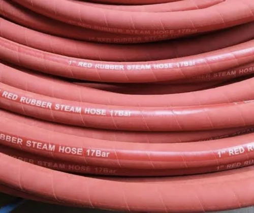 Steam Hose - Selection of Steam Hoses